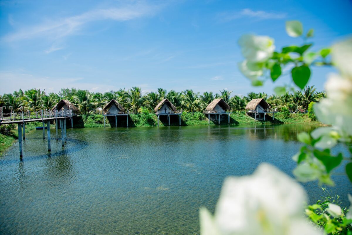 Trang chủ - Coco Cao Glamping