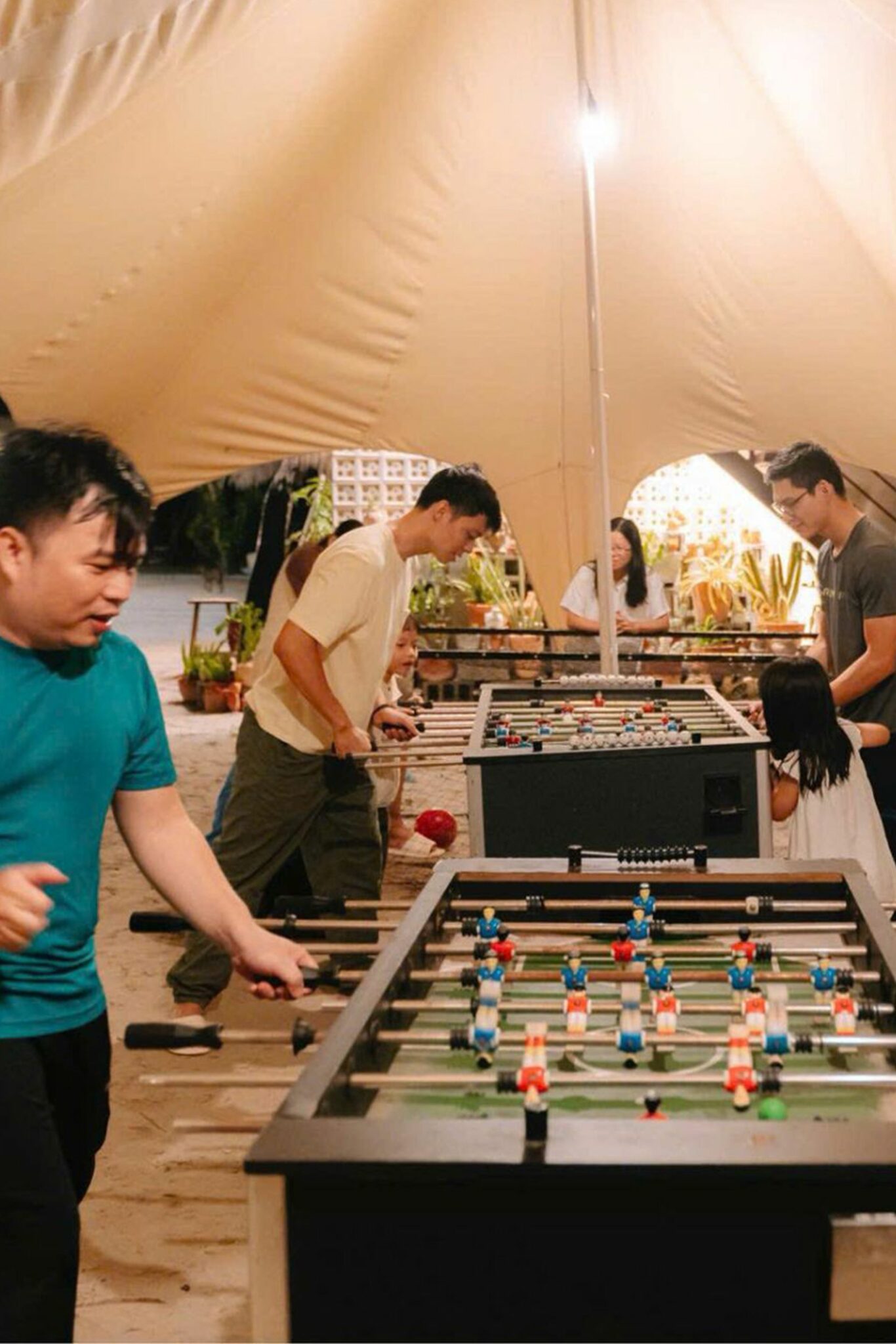 Giới thiệu - Coco Cao Glamping